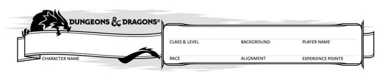 The Ins and Outs of Your Character Sheet (The Basics) - D&D 5e ...
